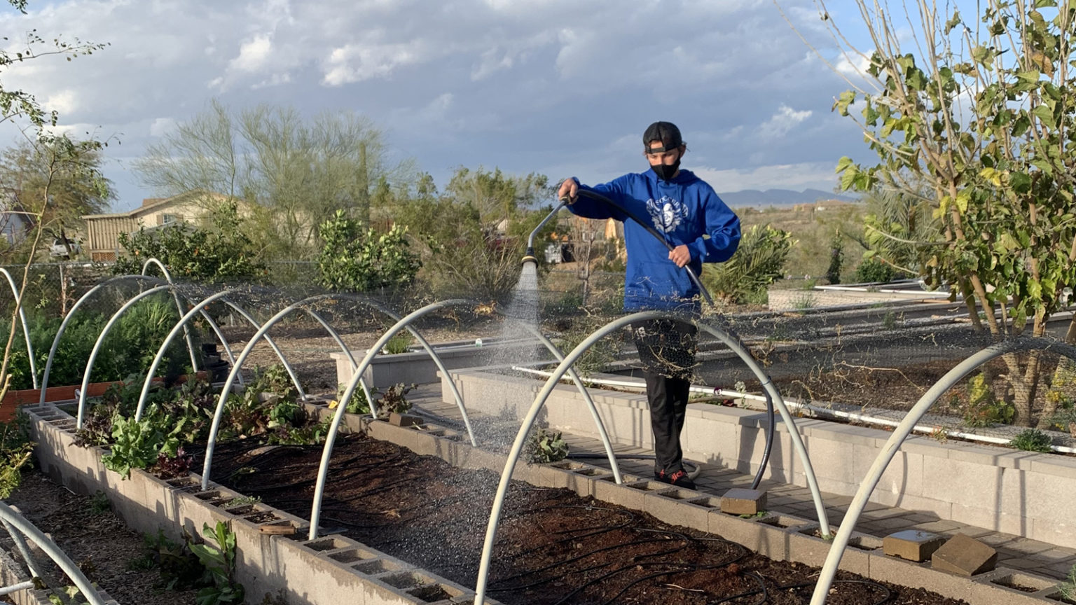 Improving communities through innovative grassroots projects in Chicago ...