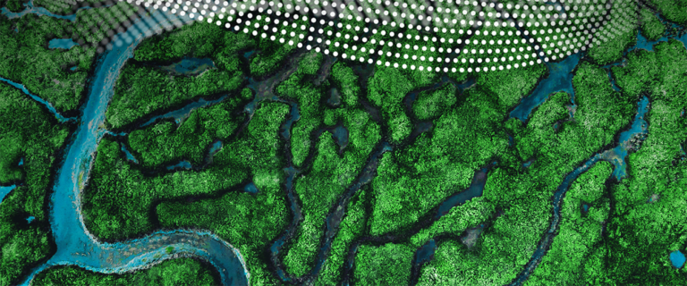 Finland - Microsoft Local