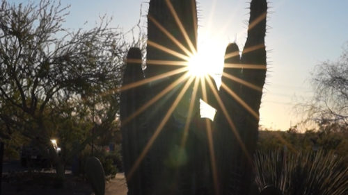 Microsoft Phoenix Community Investments - Microsoft Local