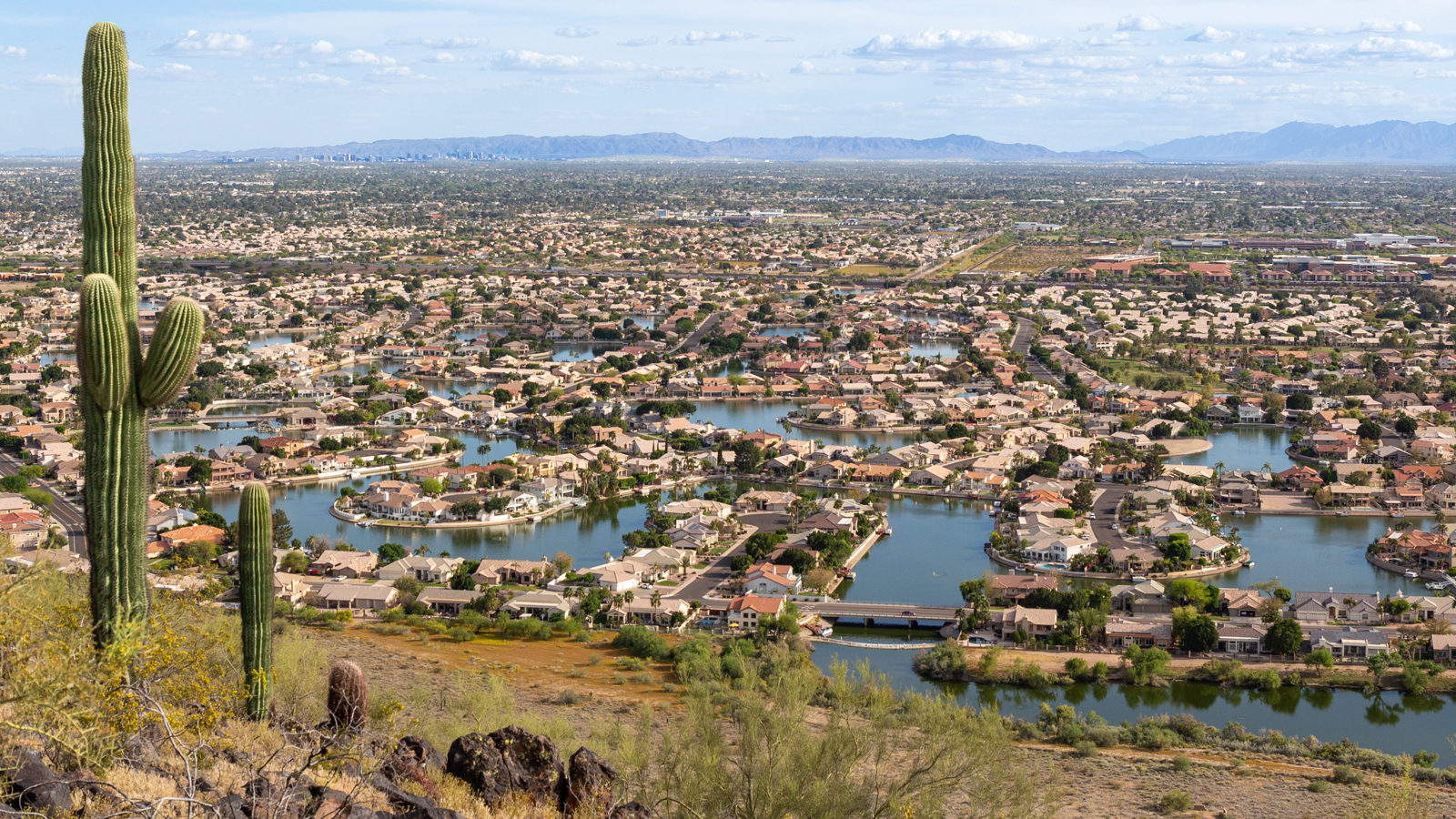 Archivos de Phoenix - Microsoft Local