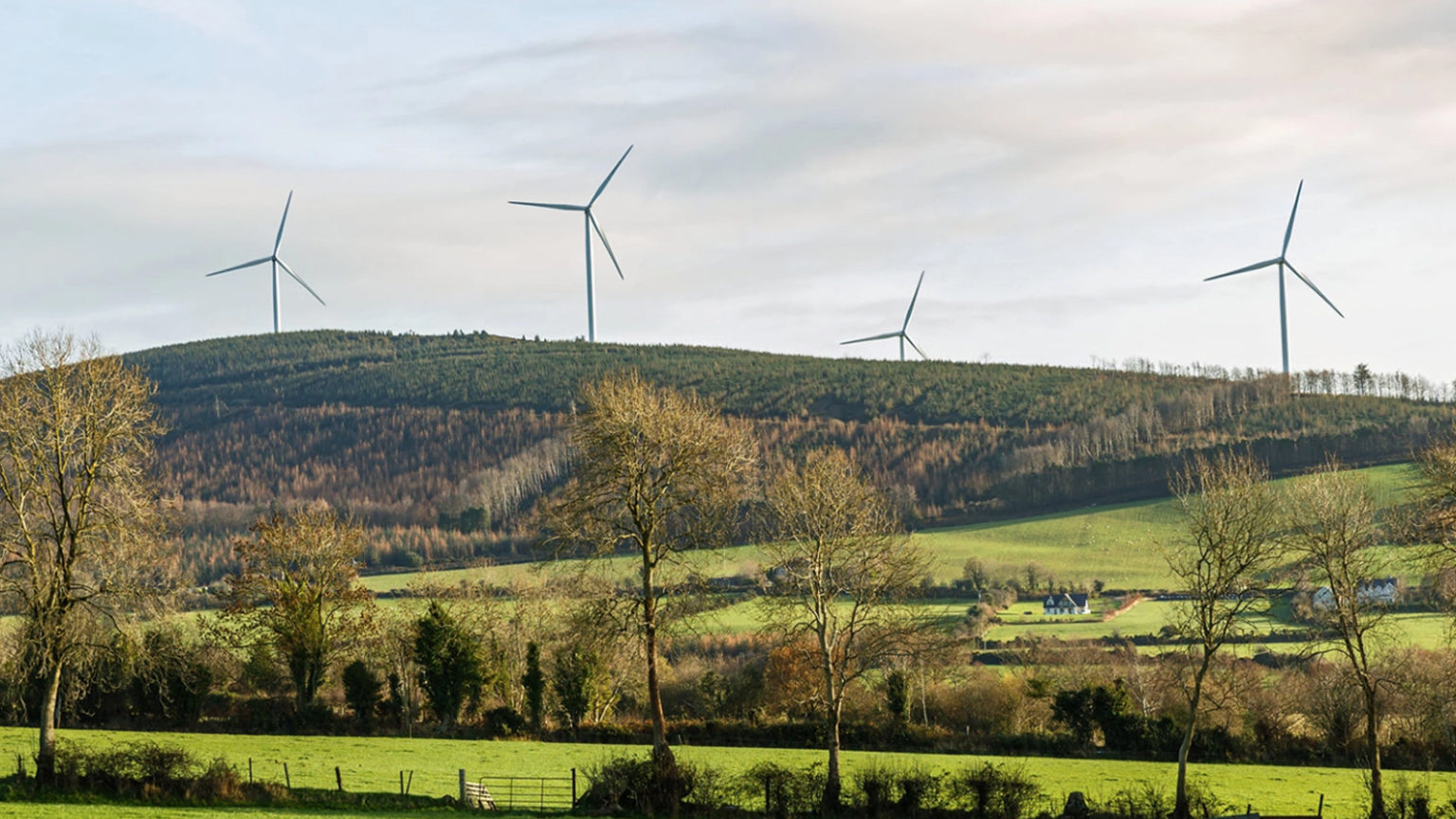 Ireland - Microsoft Local