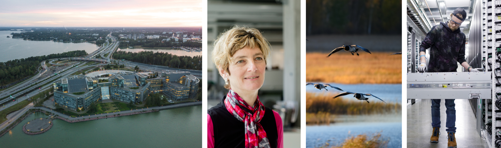 Finland - Microsoft Local