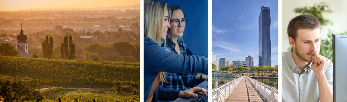 Österreich - Microsoft Local