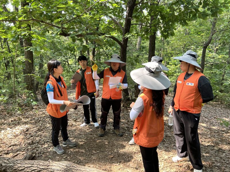 Restoring native plants in a South Korea park - Microsoft Local