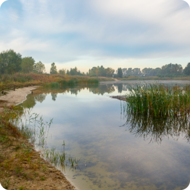Understanding water use at Microsoft datacenters - Microsoft Local